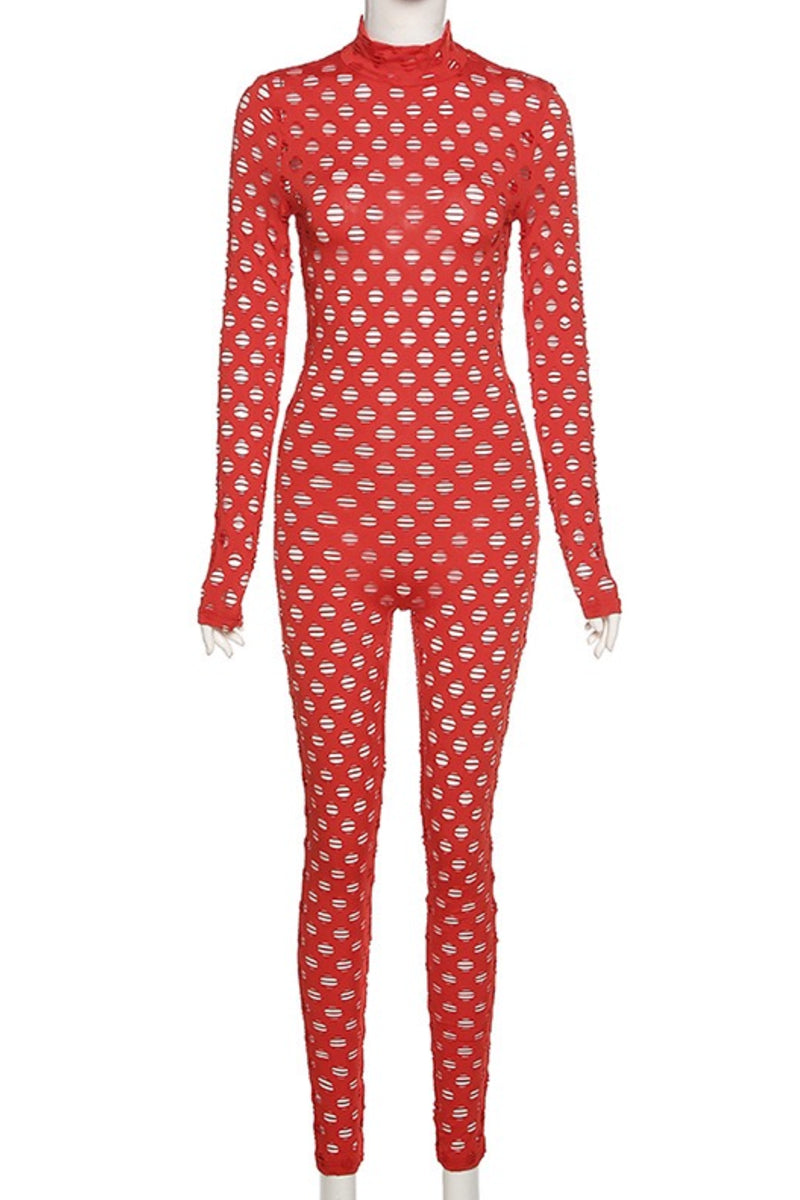 Fishnet Bodycon Jumpsuit – BodyFab.com
